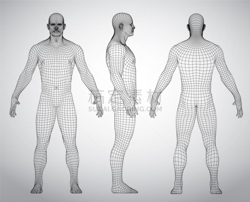 人物三视图素材 高清人物三视图素材下载 10000个人物三视图素材大全 稿定设计