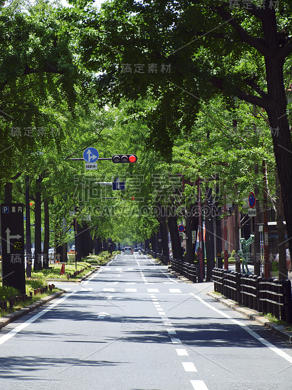 绿色马路素材 高清绿色马路素材下载 10000个绿色马路素材大全 稿定设计