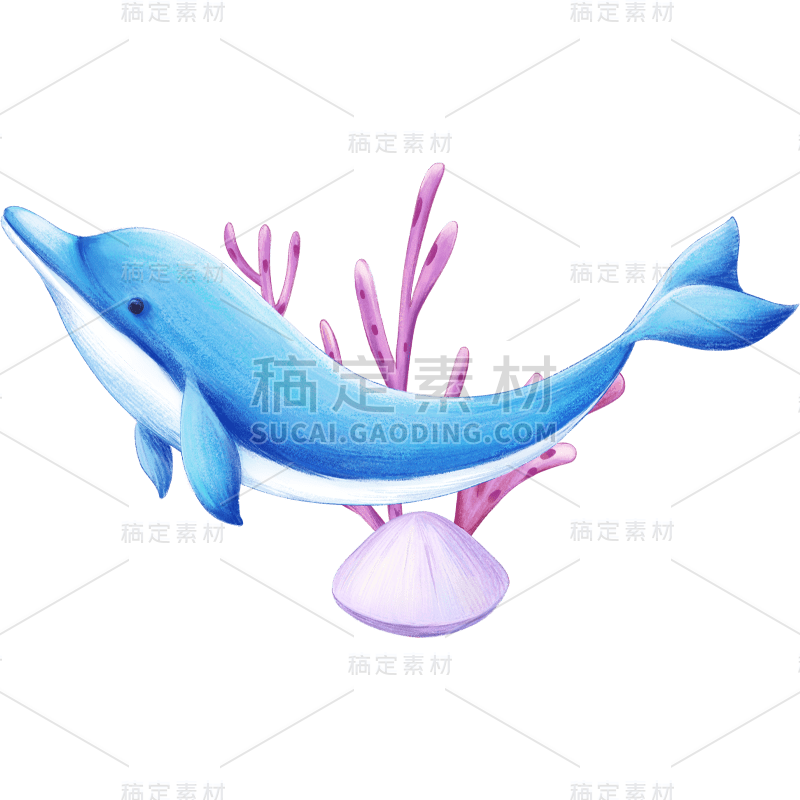 海豚素材 高清海豚素材下载 10000个海豚素材大全 稿定设计