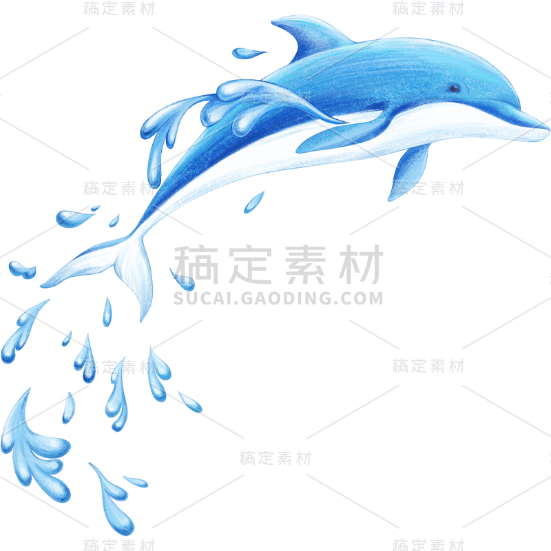 海豚素材 高清海豚素材下载 10000个海豚素材大全 稿定设计