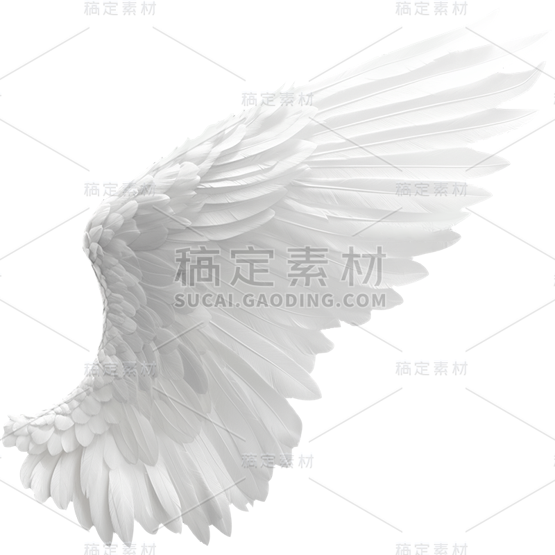 翅膀素材 高清翅膀素材下载 10000个翅膀素材大全 稿定设计