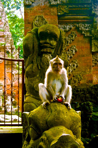 懒洋洋图片_高清懒洋洋素材下载_懒洋洋素材大全-稿定设计