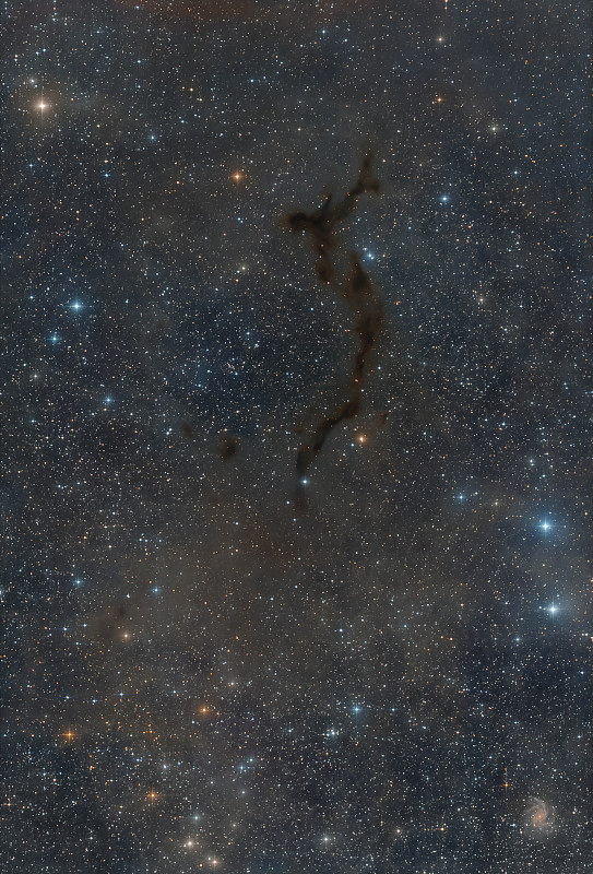 海马星云，Barnard, 150_模板素材-稿定设计