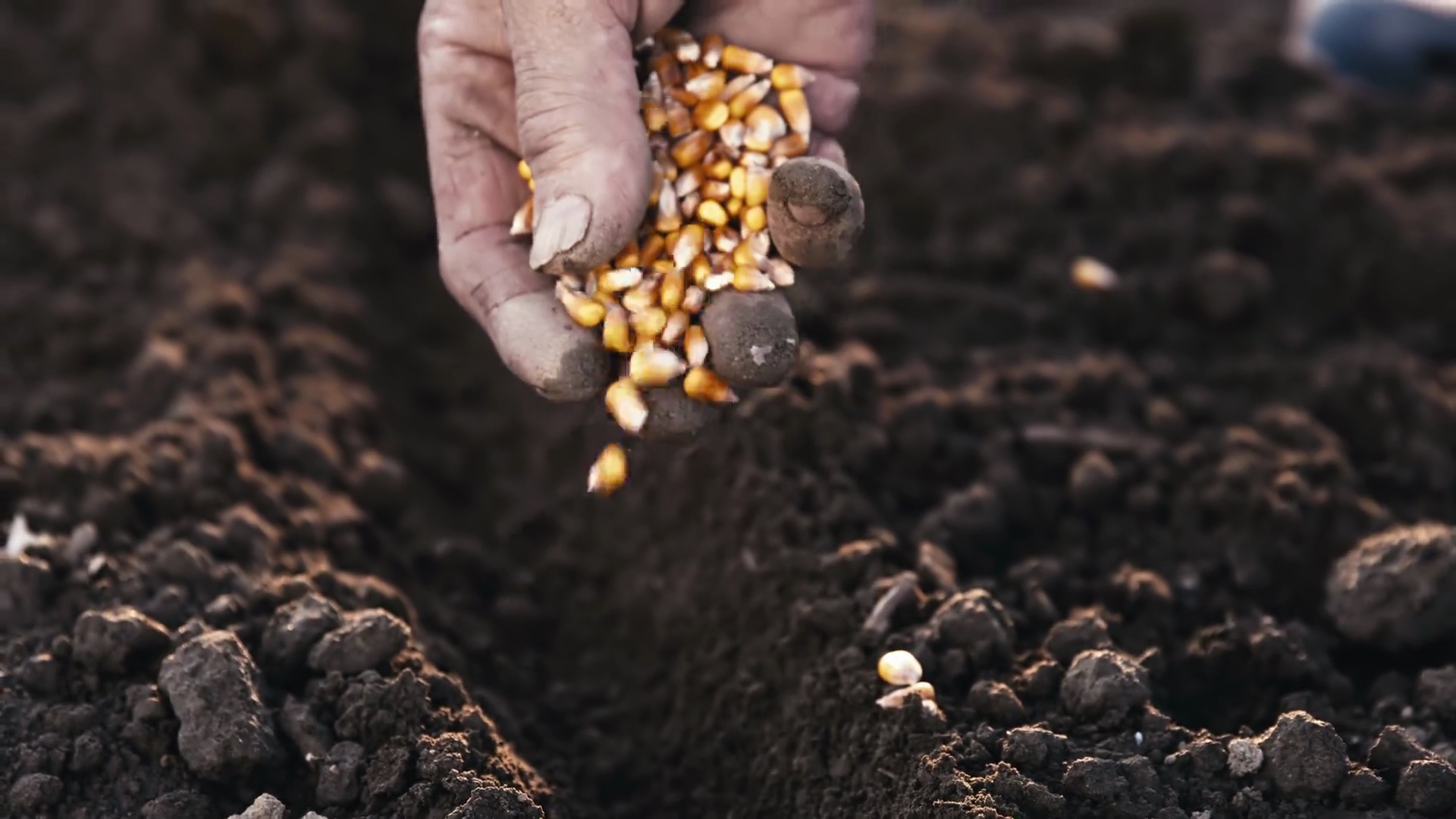 Sloo MO农民的手工播种_模板素材-稿定设计