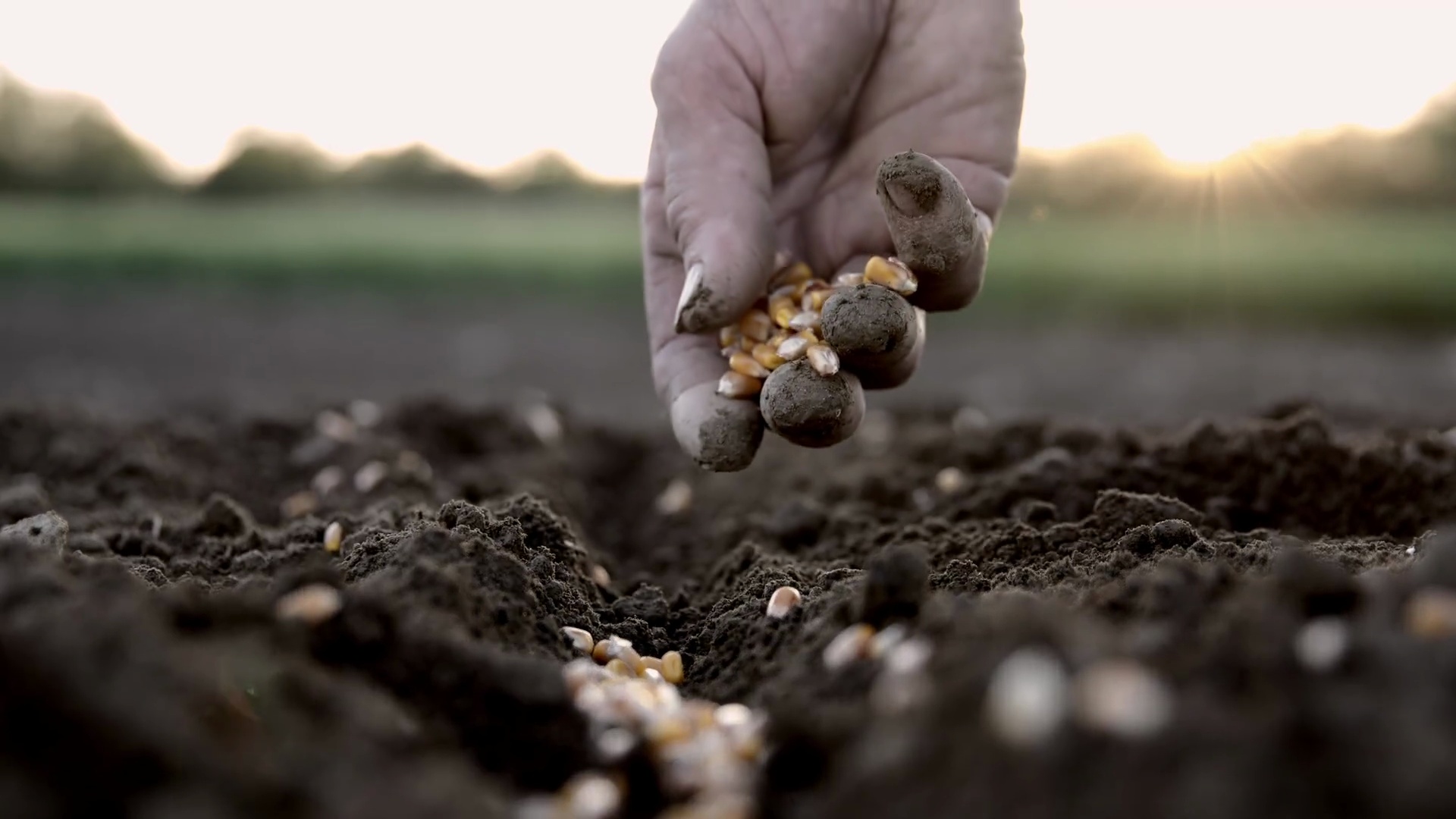 Sloo MO农民的手工播种_模板素材-稿定设计