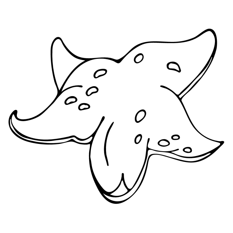 海星,草图,绘画插图,乱画,矢量,黑白图片,动物主题,线条,一个物体,热带气候_模板素材-稿定设计