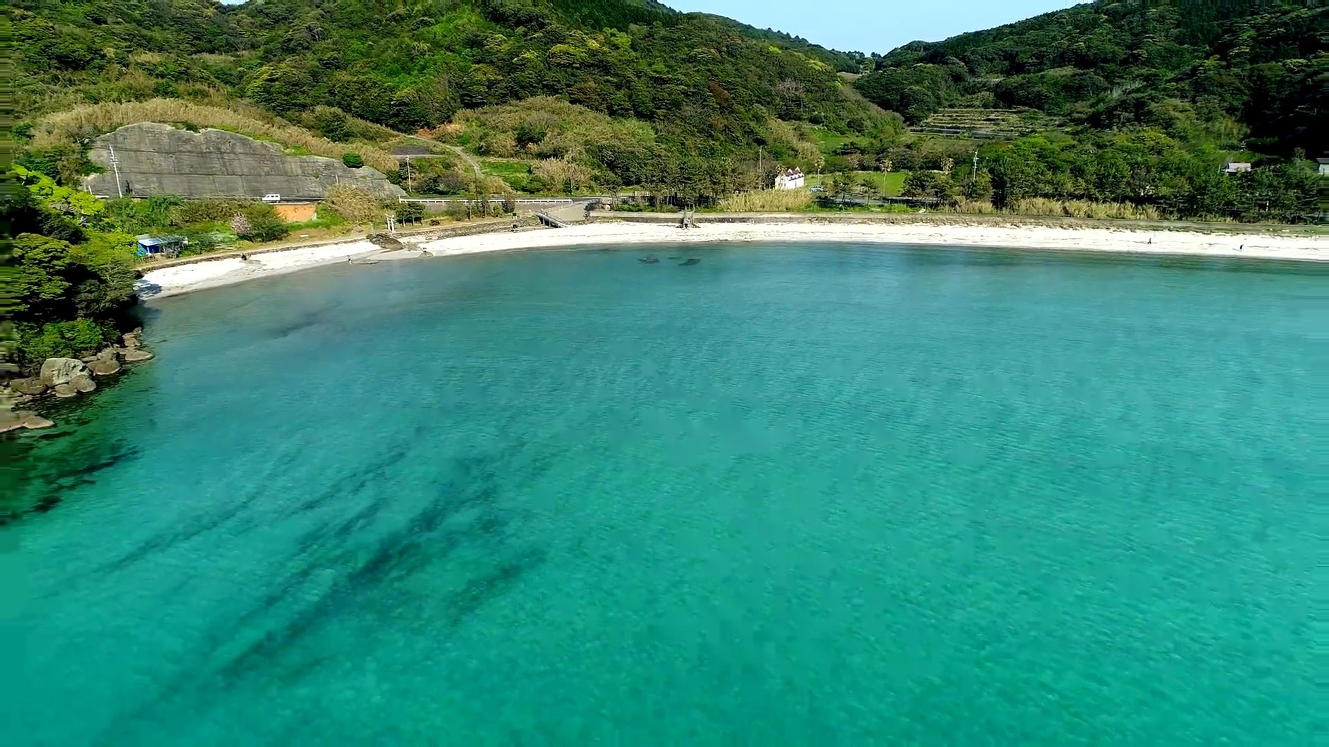 日本Neshiko海滩景观_模板素材-稿定设计