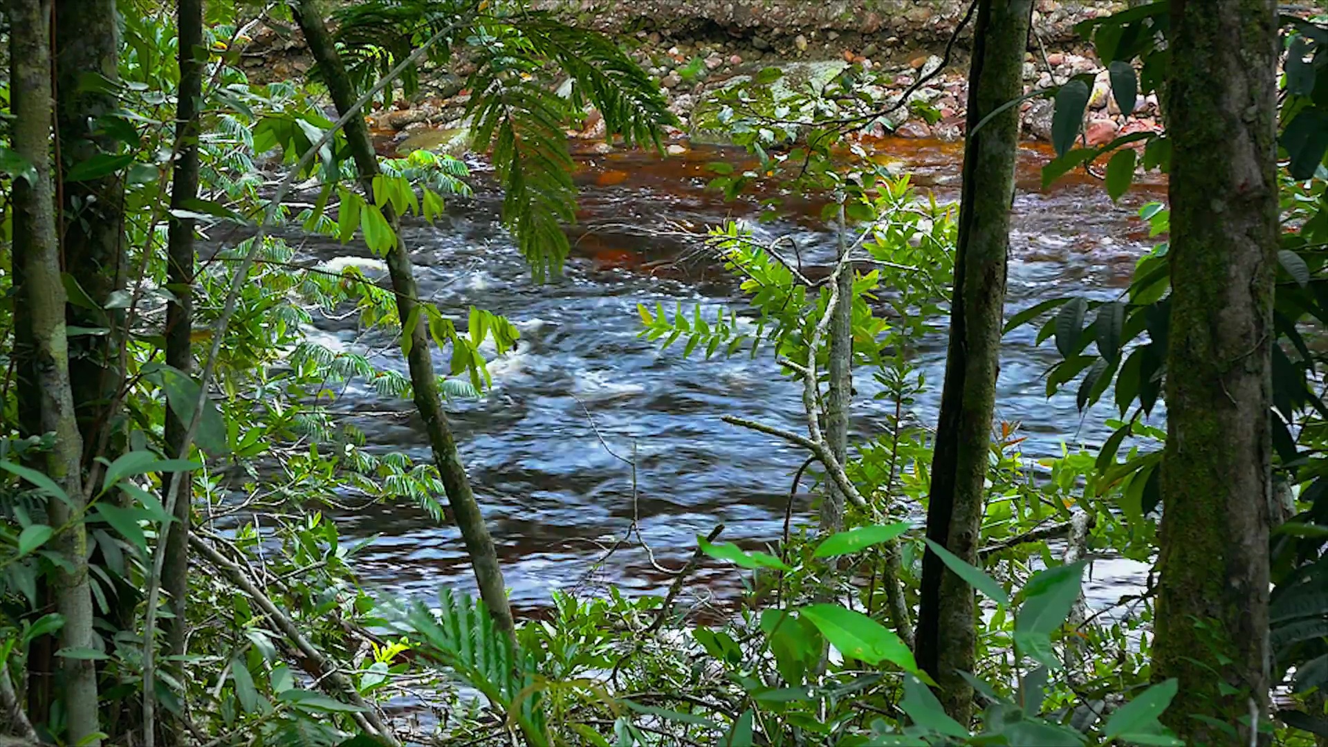 Churun，Canaima国家公园中的天使瀑布河。委内瑞拉_模板素材-稿定设计